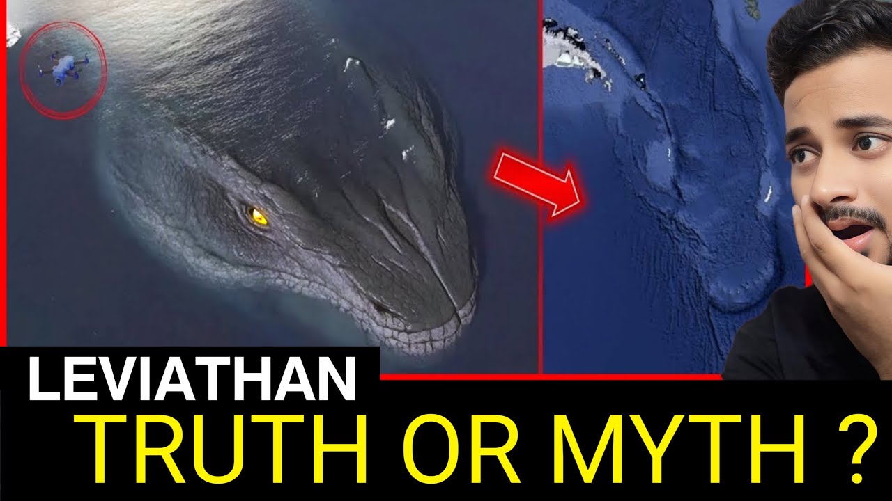 Leviathan: The Giant Snake Sea Monster - Truth or Myth? - YouTube