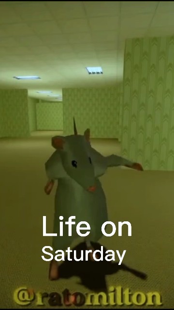 Why does weekend goes so fast 😭😭 #meme - YouTube