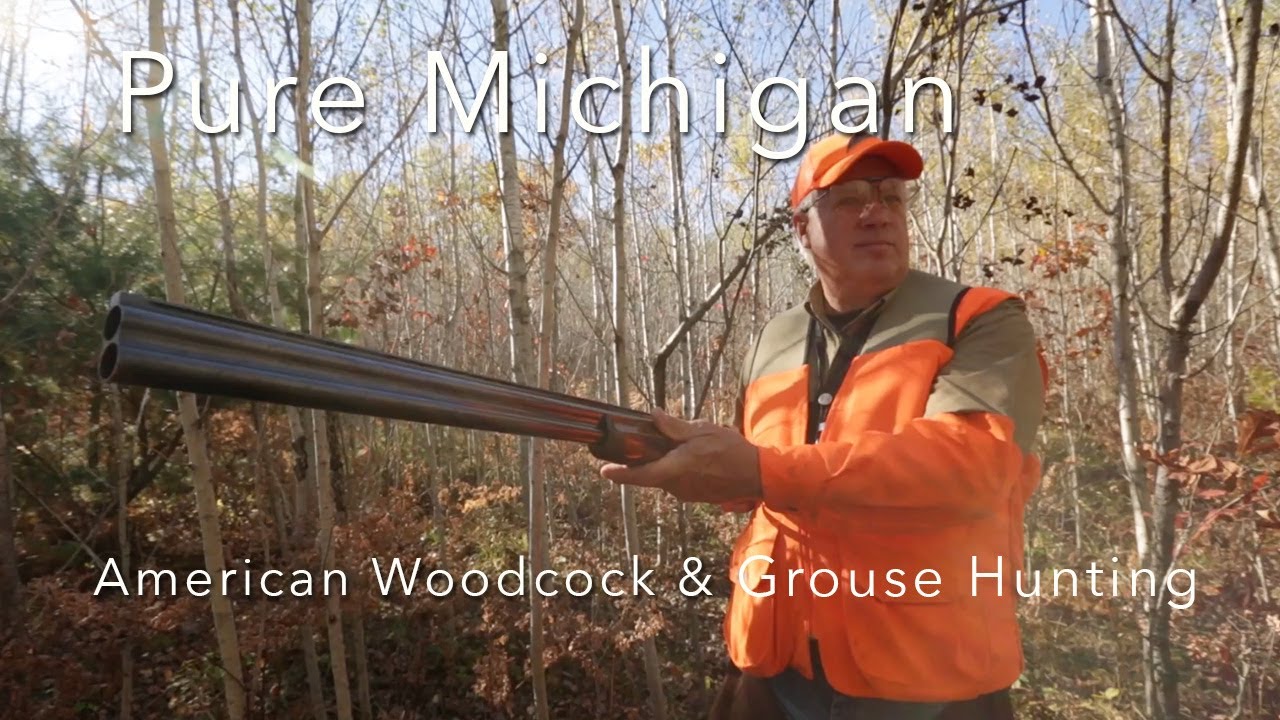 Pure Michigan: Hunting the American Woodcock and Grouse - YouTube