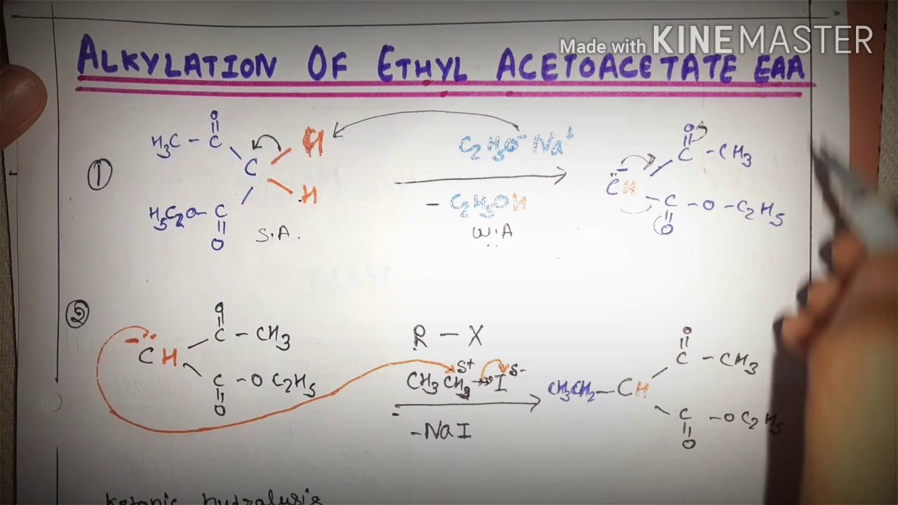 Alkylation of ethyl acetoacetate ||Acetoester synthesis ||previous ...
