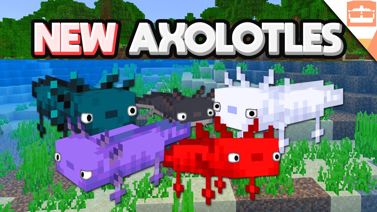 This Addon Mod ADDS 16 NEW AXOLOTLES to Minecraft Bedrock - YouTube