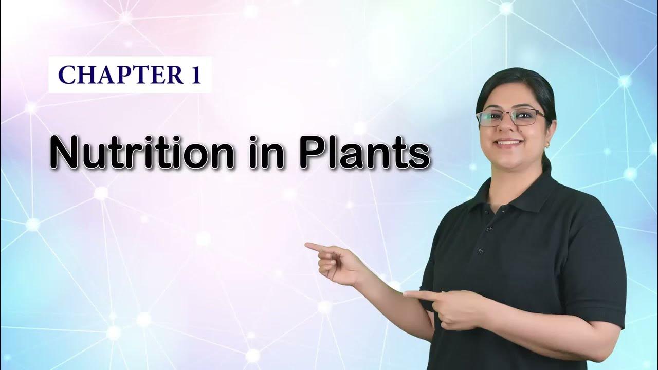 Science Scope (Grade – 7) – Nutrition in Plants - YouTube