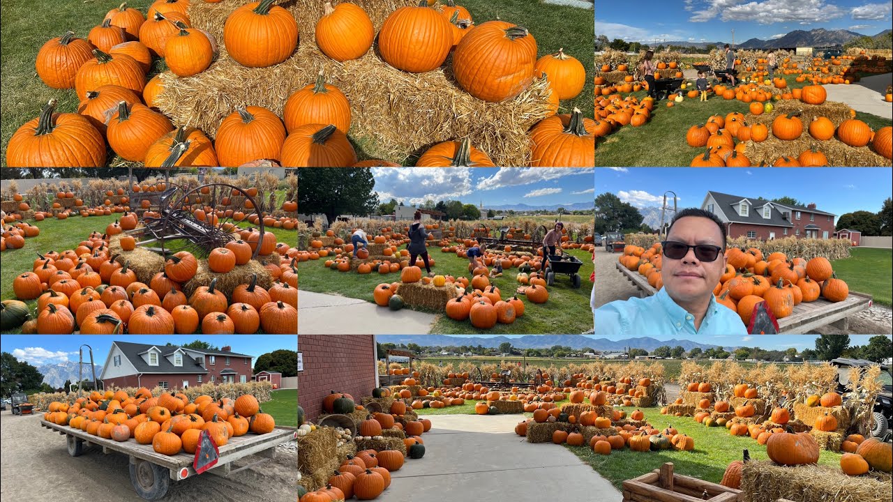 South Jordan Mabey's Pumpkin Patch - YouTube