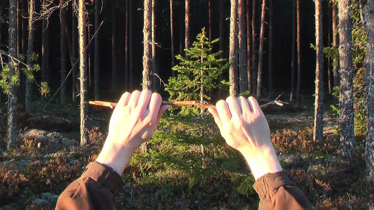 Snapping a twig in two - YouTube