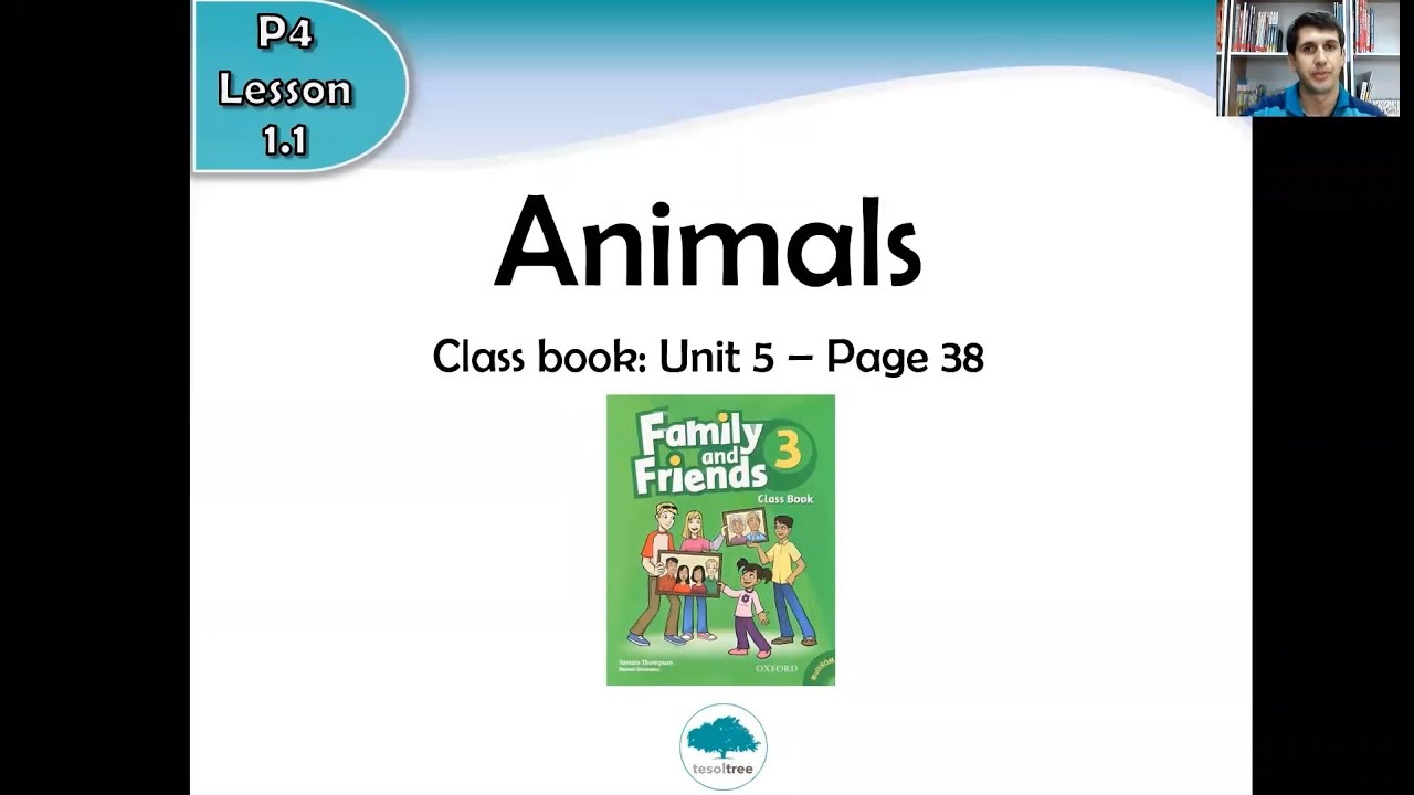 I.P. English Time For P4 - Animals Lesson 1.1 - YouTube