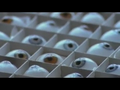 The Glass Eye Maker - Jost Haas (Documentary) - YouTube