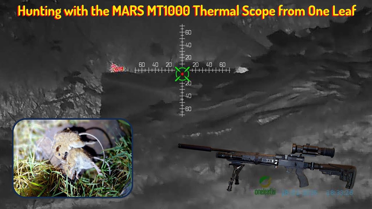 Hunting with the MARS MT1000 LRF Thermal Scope from One Leaf - YouTube