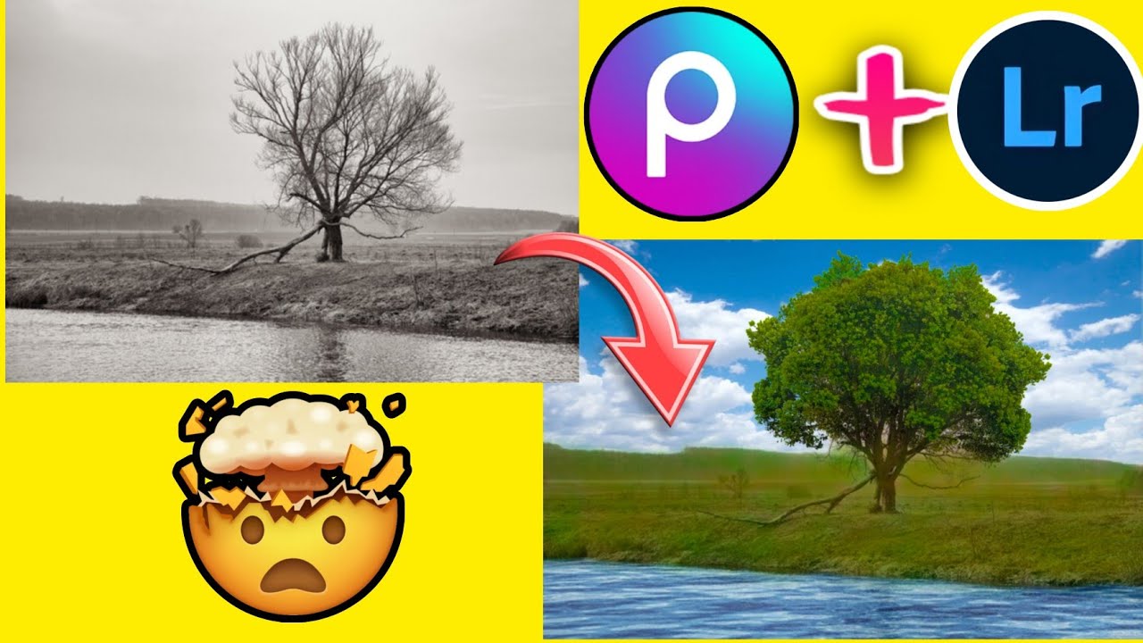 how to convate a black and white photo trun into a colourful picture ...