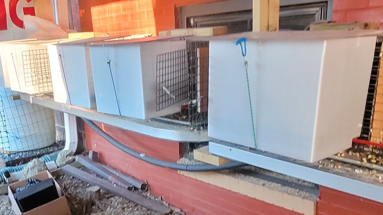 Tully River Quail Jumbo Quail cage - adding a sand box and predator ...