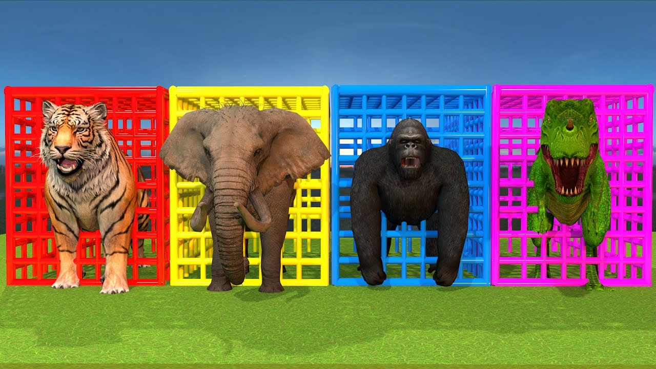 Choose right Door! Gorilla, Zombie T Rex, Elephant, Buffalo, Tiger ...