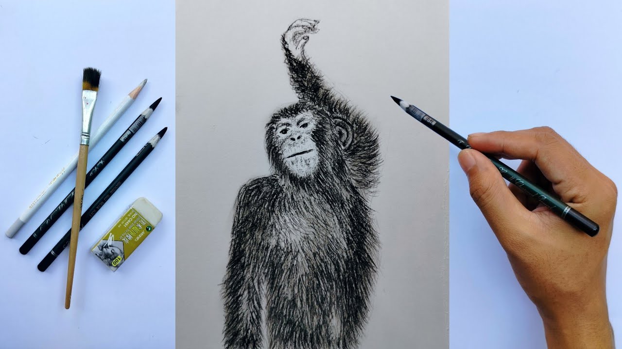 How to draw an ape sitting in pencil, draw an ape easily - YouTube