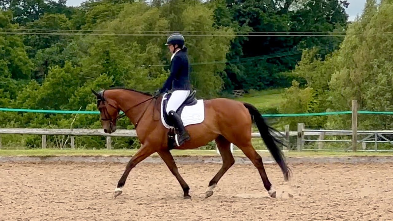 BD - Novice 3 - 66.2% - Burrows Court - 7.6.25 - YouTube