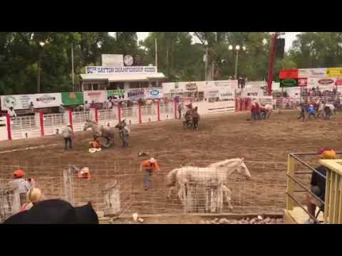 Wild Horse Race - 2017 Dayton, IA Rodeo - YouTube