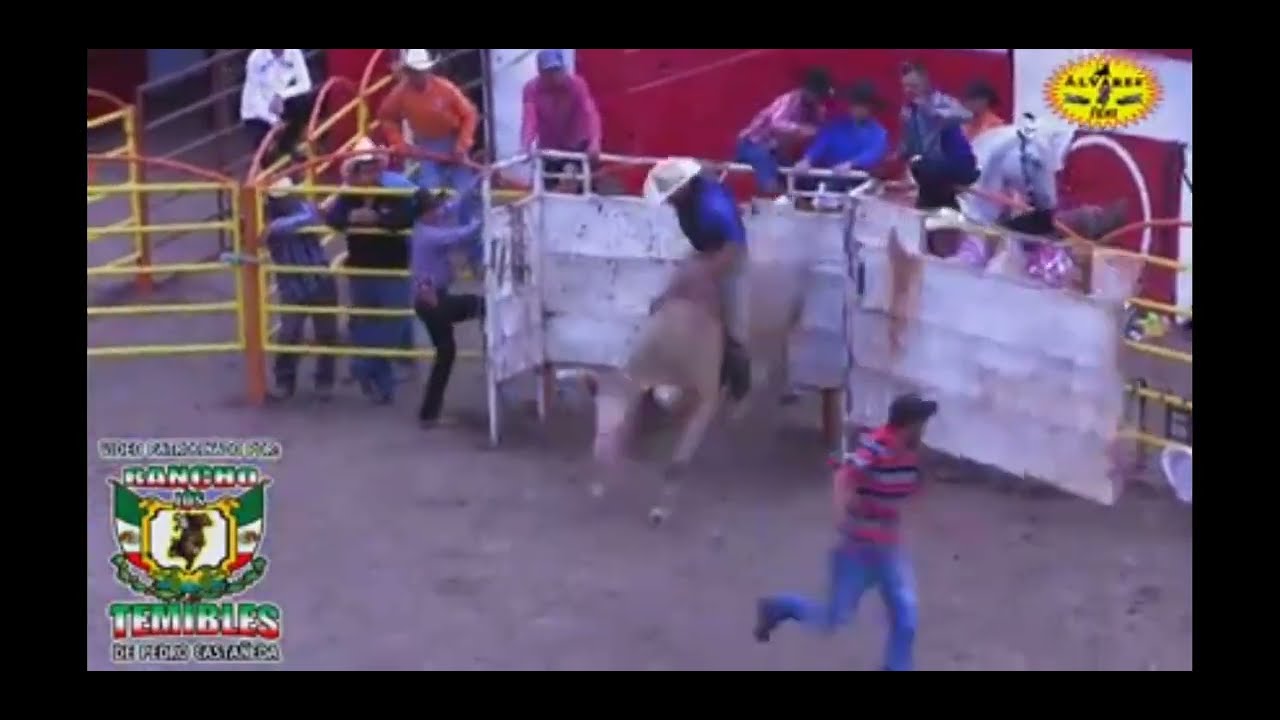 la istoria 5 muchacho vaqueros - YouTube