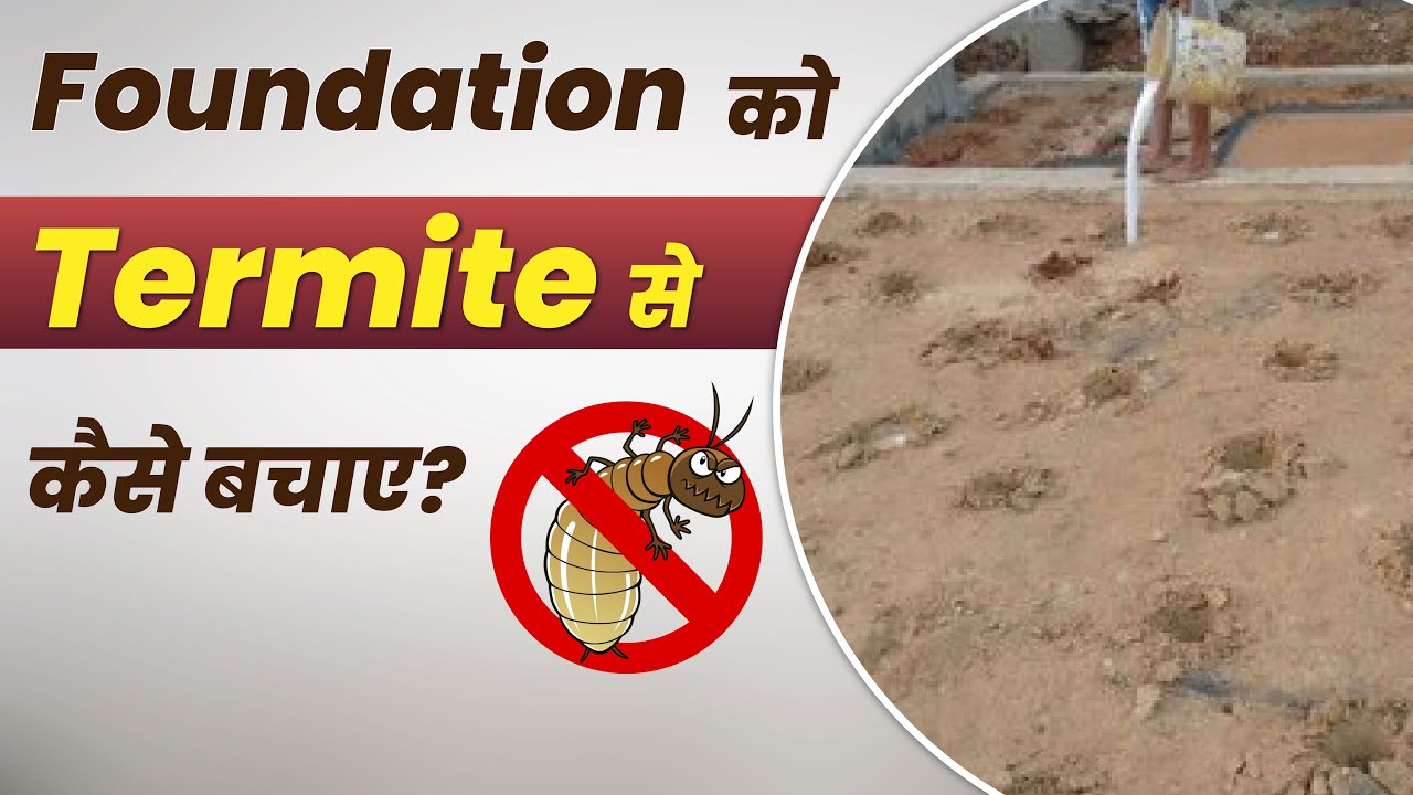 Foundation को Termite से कैसे बचाए? | Termite Protection Treatment For ...