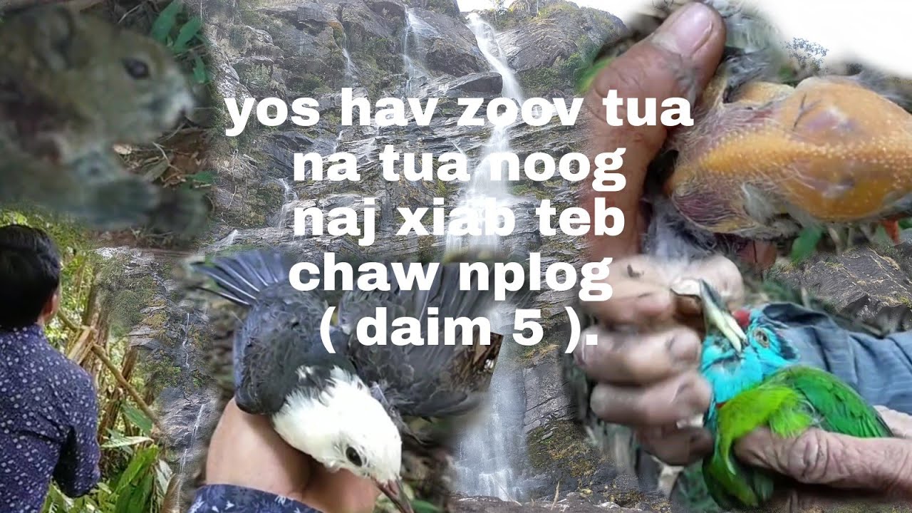 kou lor: yos hav zoov tua na tua noog naj xiab teb chaw nplog ( daim 5 ...