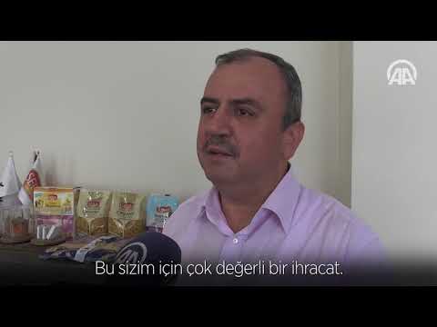 Selva Gıda   Akıllı Makarna