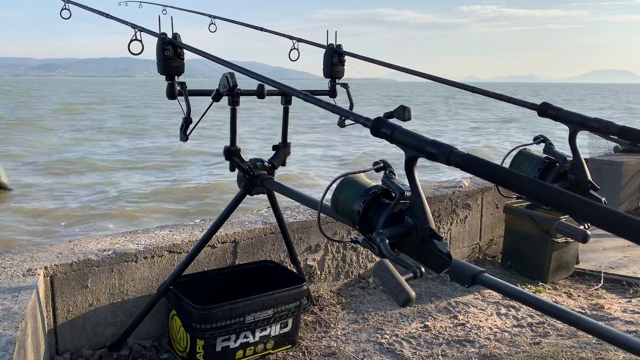 Carp Bite IBCC 2019 - YouTube