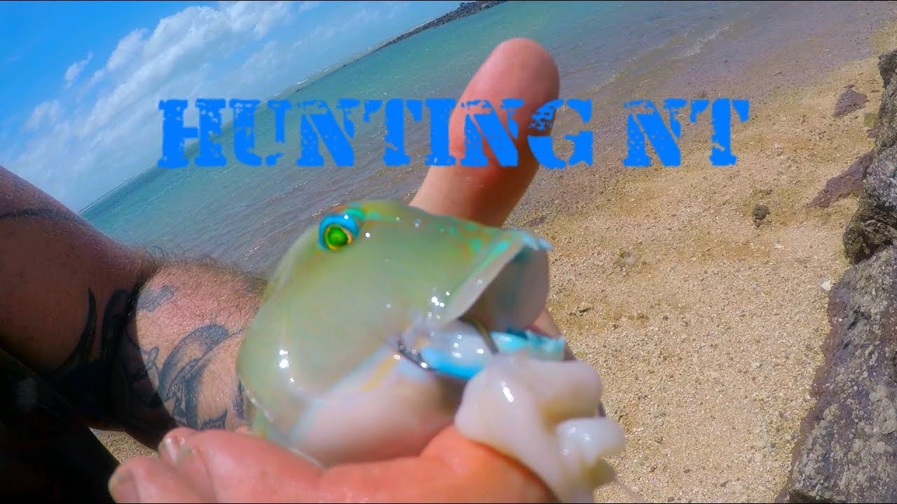 Fishing a Rock pool Reef Darwin - YouTube