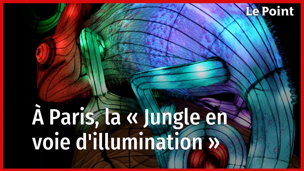 Jardin des Plantes : à Paris, la « Jungle en voie d'illumination ...
