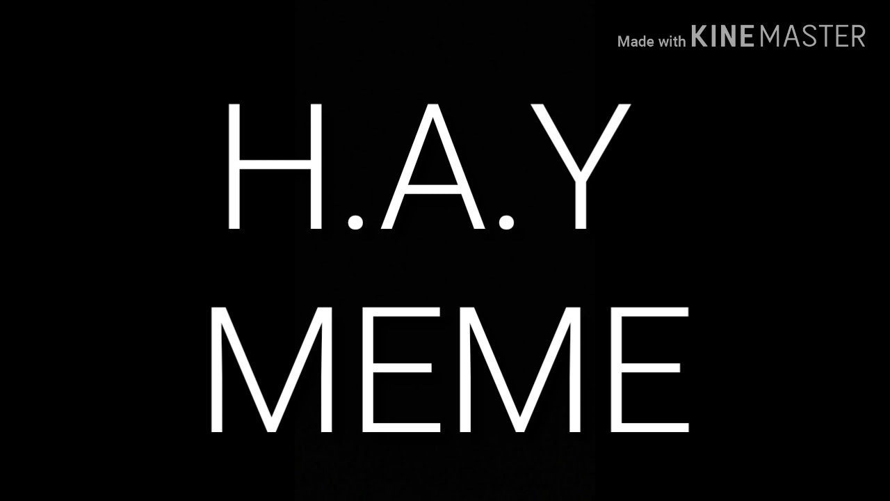 H.A.Y MEME - YouTube