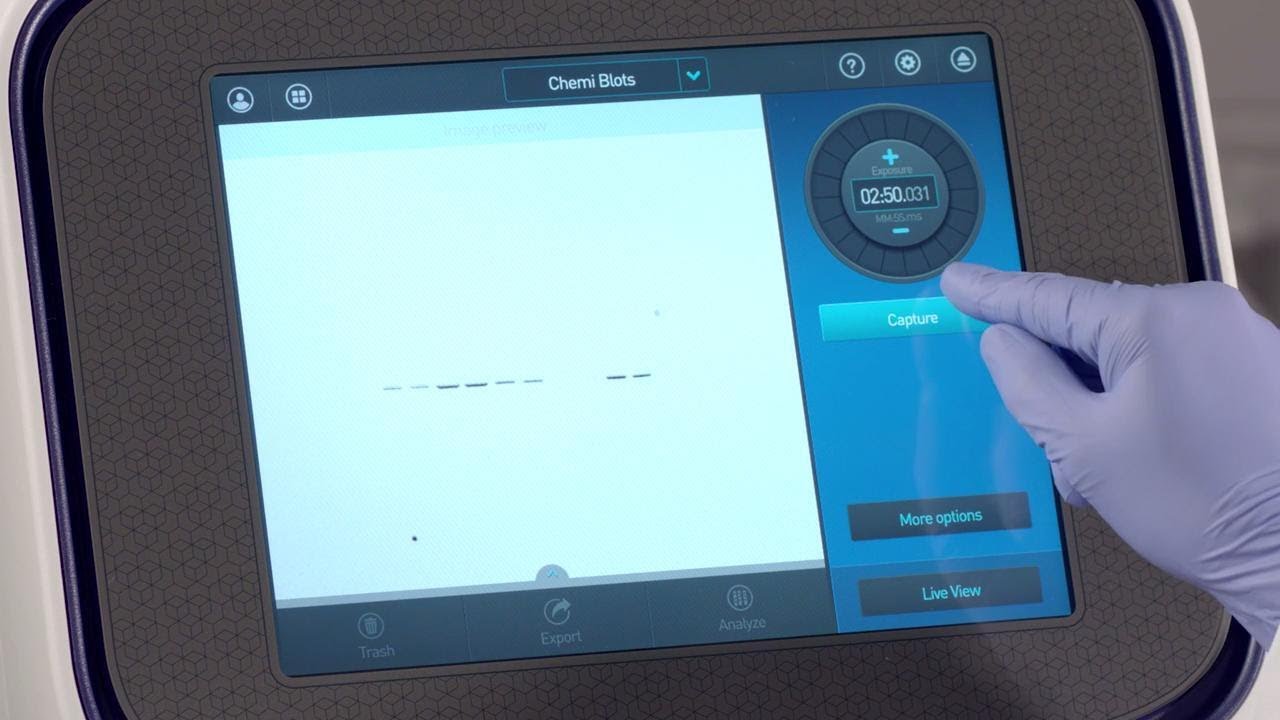 How to Capture Images with Invitrogen iBright Imaging System - YouTube