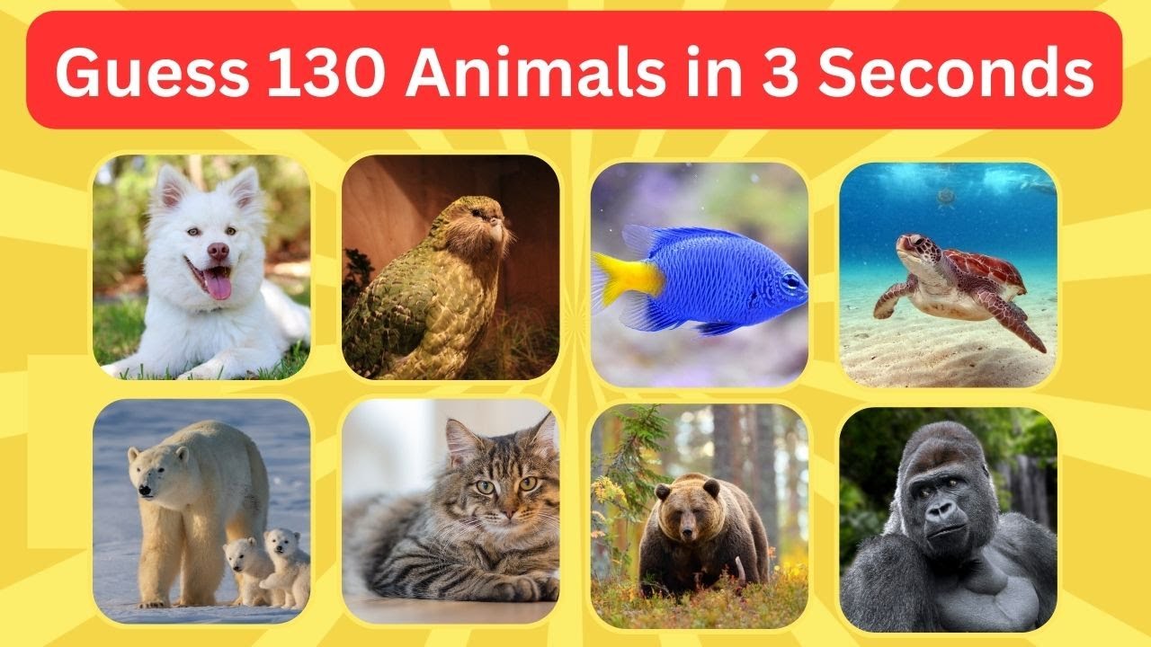 Can You Guess the 130 Animals in 3 Seconds | Easy, Medium and Hard ...