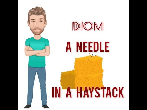 A Needle in a Haystack - Idioms (929) Like A Needle in a Haystack ...