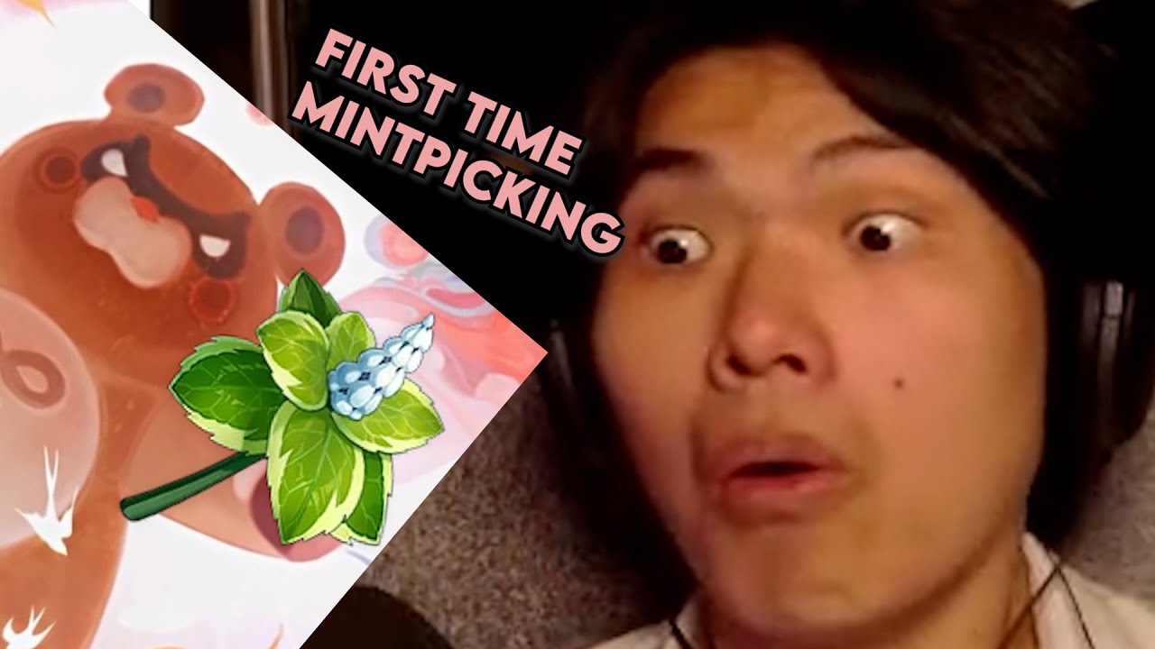 MrPokke's first time genshin experience - YouTube