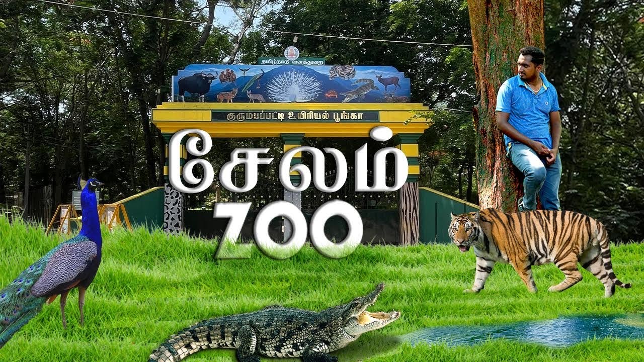 யாரும் அறிந்திடா சேலம் ZOOO 🧐 | Kuruvampatti Zoological Park | Salem ...