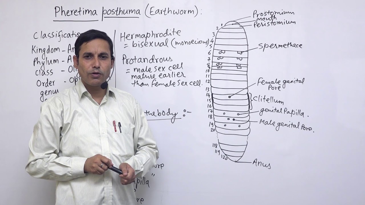 Class 11 Zoology arthom - YouTube