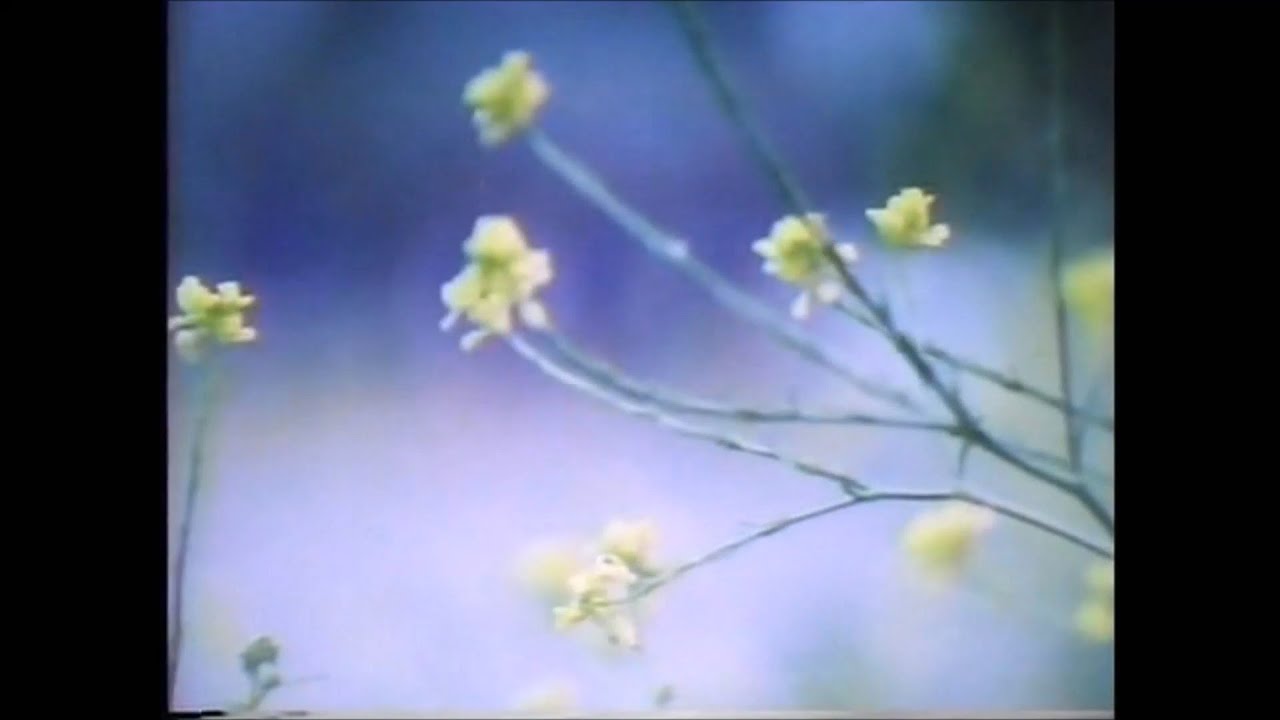 Excerpt from Class of 76 featuring Joseph A Pursch MD - YouTube