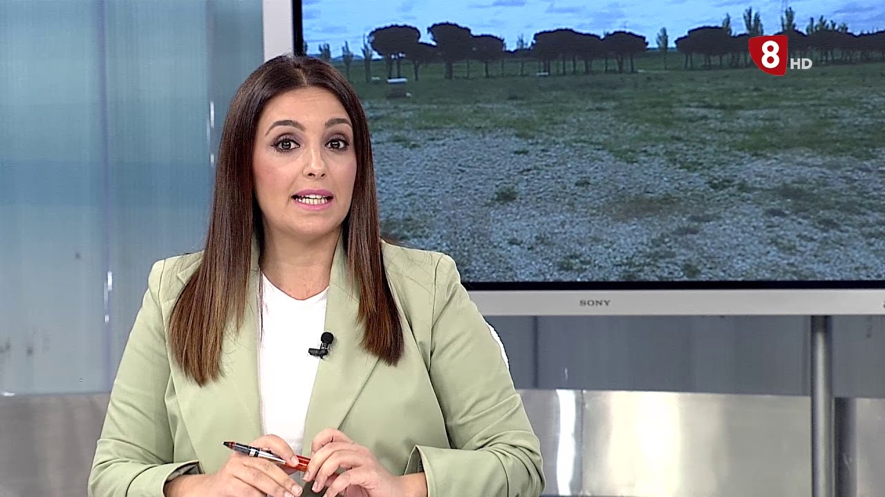 Noticias 8 Valladolid. Edición de tarde. 22 de abril de 2020 - YouTube