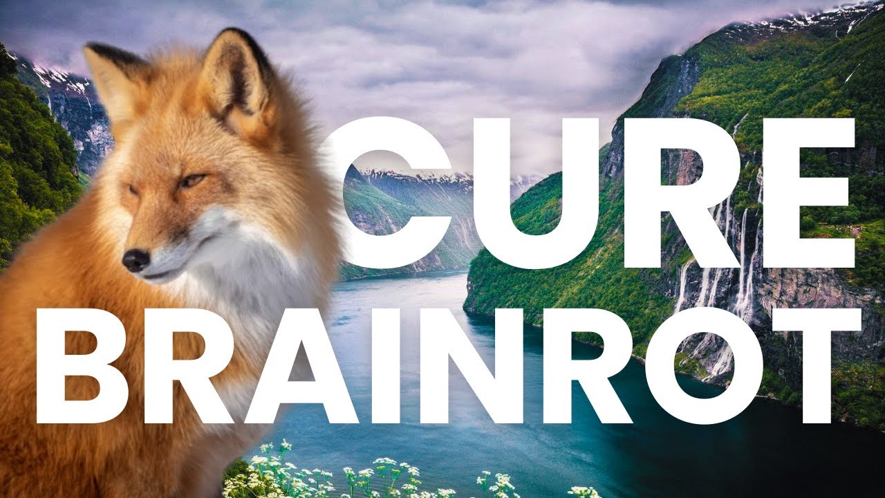 Cure Brainrot - YouTube