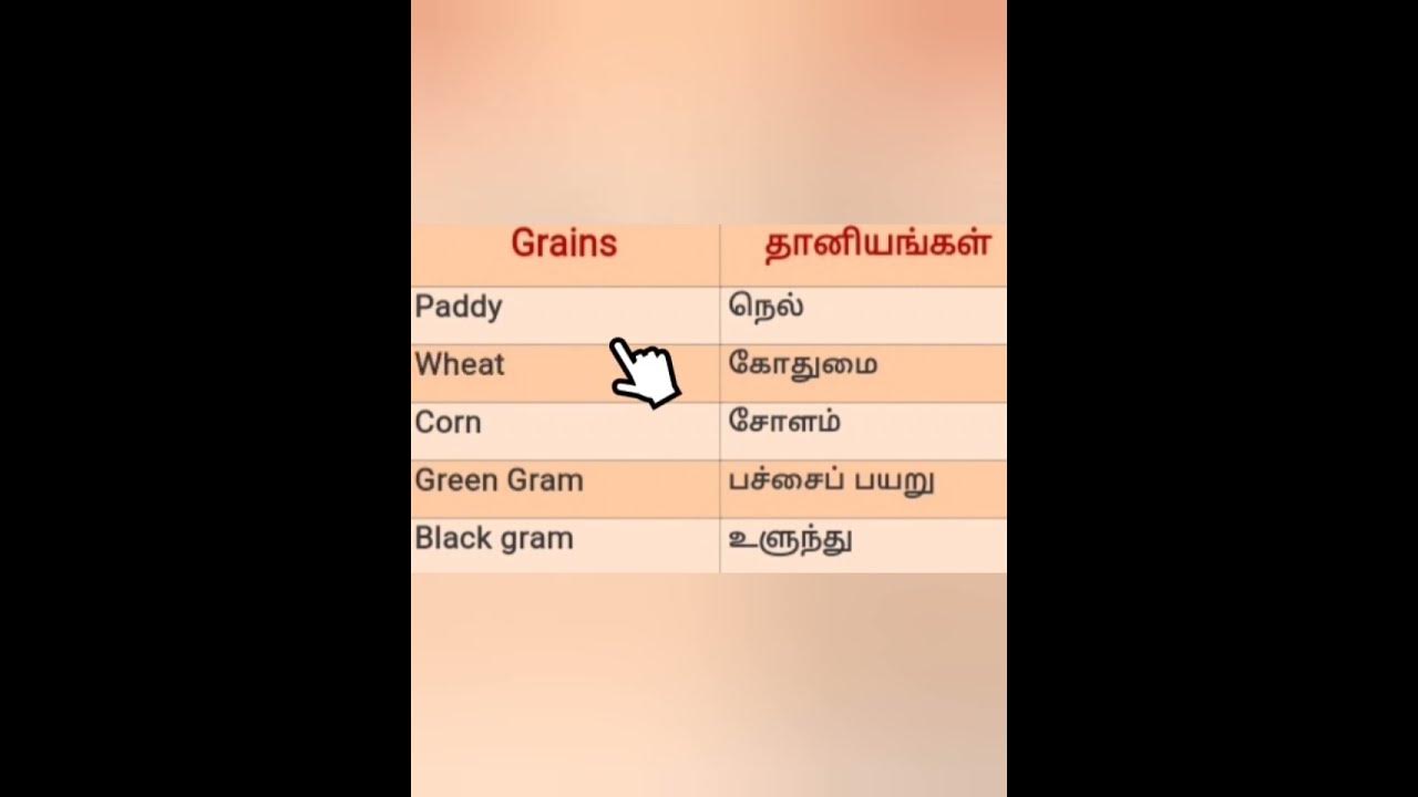 grains-names-with-tamil-meaning-youtube