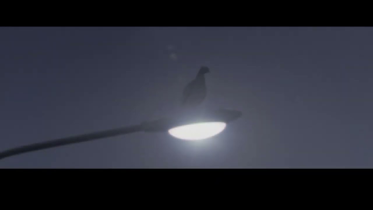 Ace Combat 5 SOLG finale - YouTube