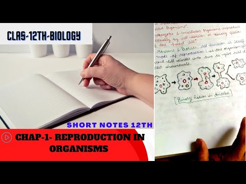 CLASS -12th notes in👩‍💻 my handwriting • chapter -1st || Short notes ...