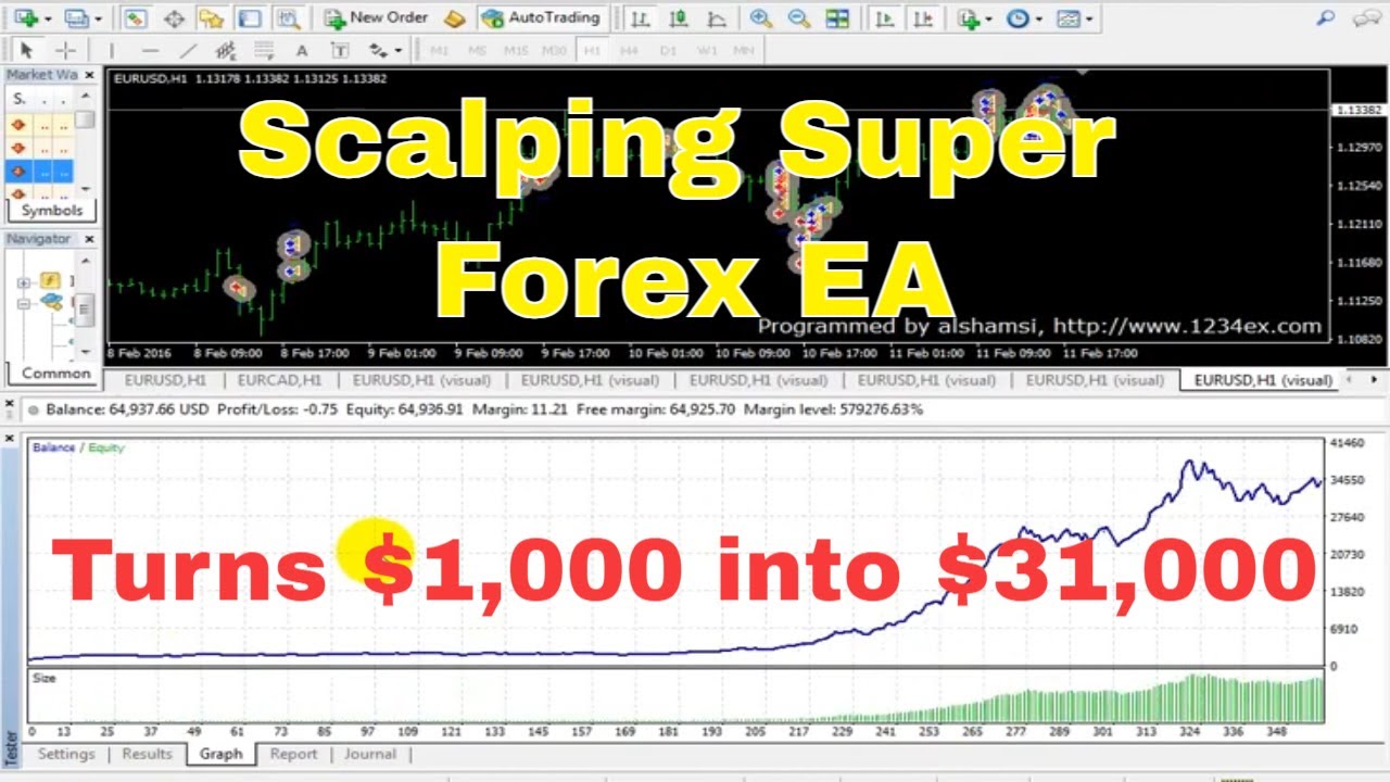 Scalping Super Forex EA Turns $1,000 into $31,000 Best Forex EA Download - YouTube