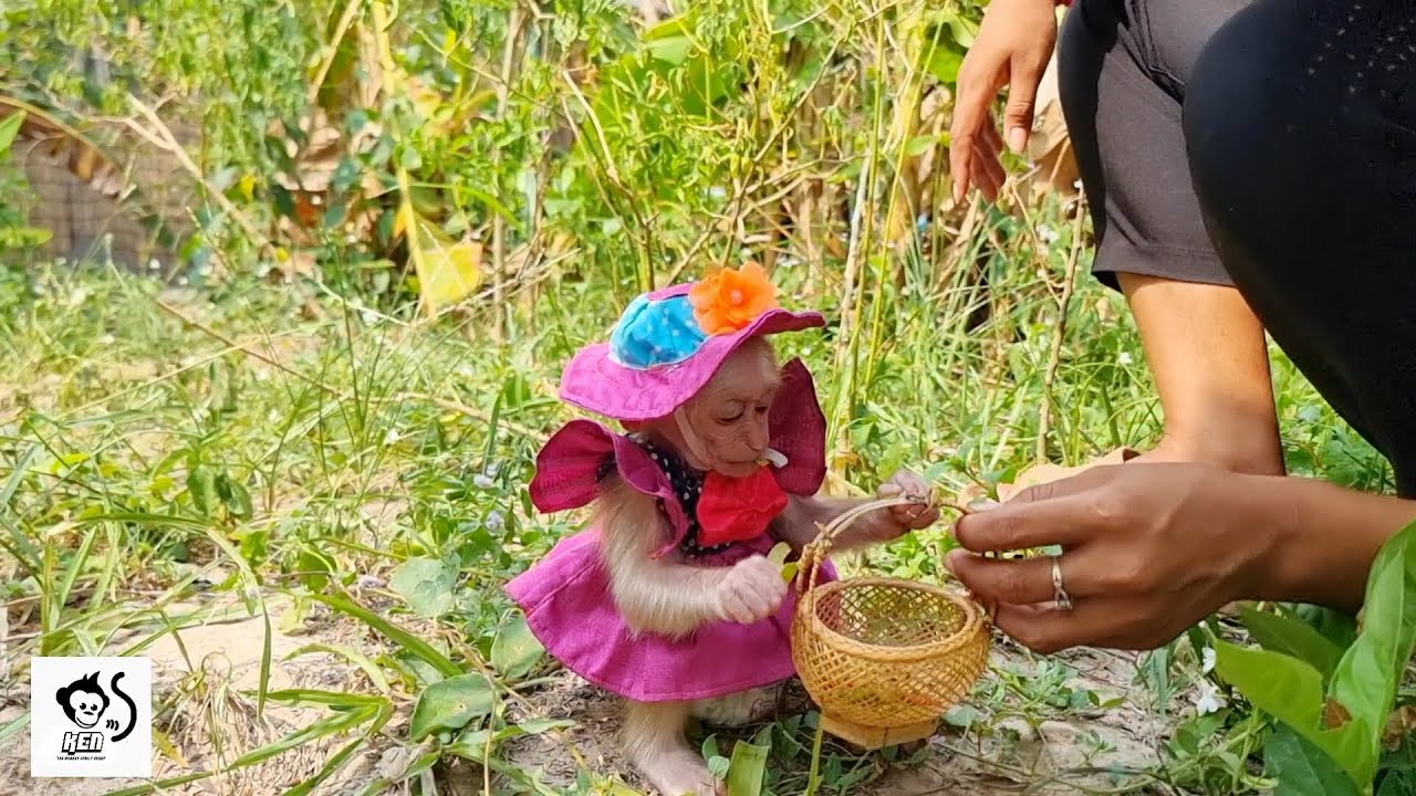 So Sad Ken Is Not Happy Cuz She Can Help Her Mother's Chili Less - YouTube