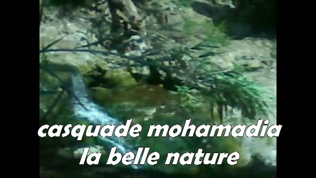 casquade mohamadia - YouTube
