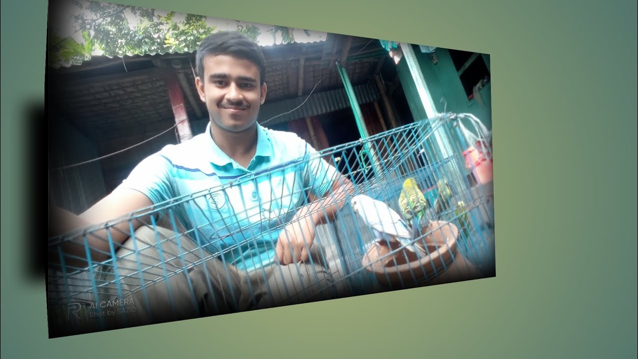 The last day of my lovely Birds Bazri😭😭😭 - YouTube