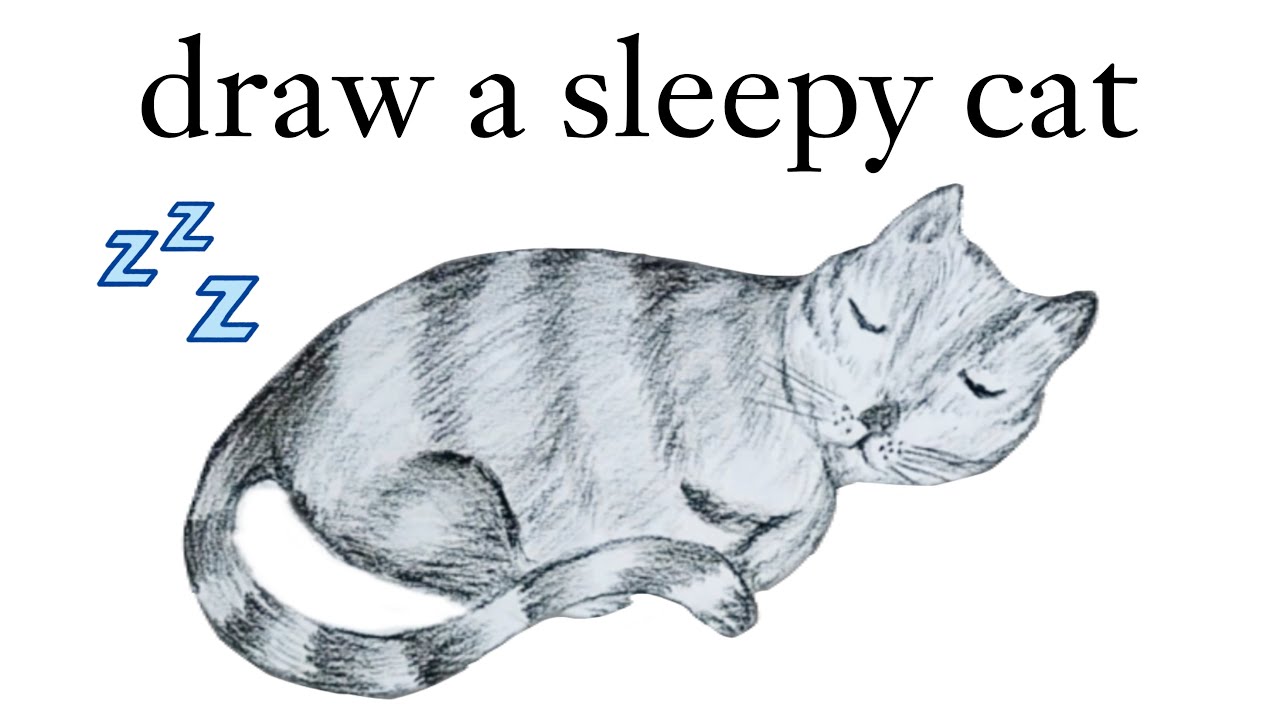let's learn how to draw a sleepy cat | a step-by-step tutorial for ...