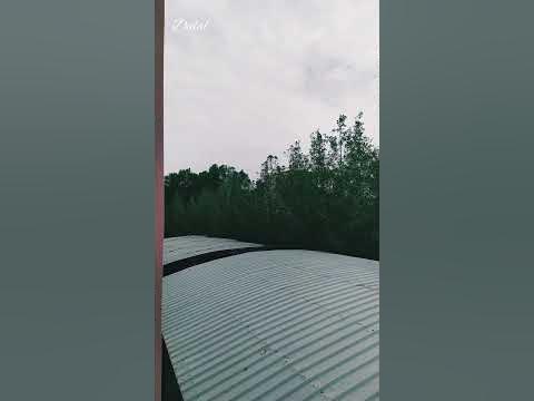 جو ماطر وجميل المنظر من نافذة مكان عملي #ثانوية سيؤن النموذجية #مطر ...