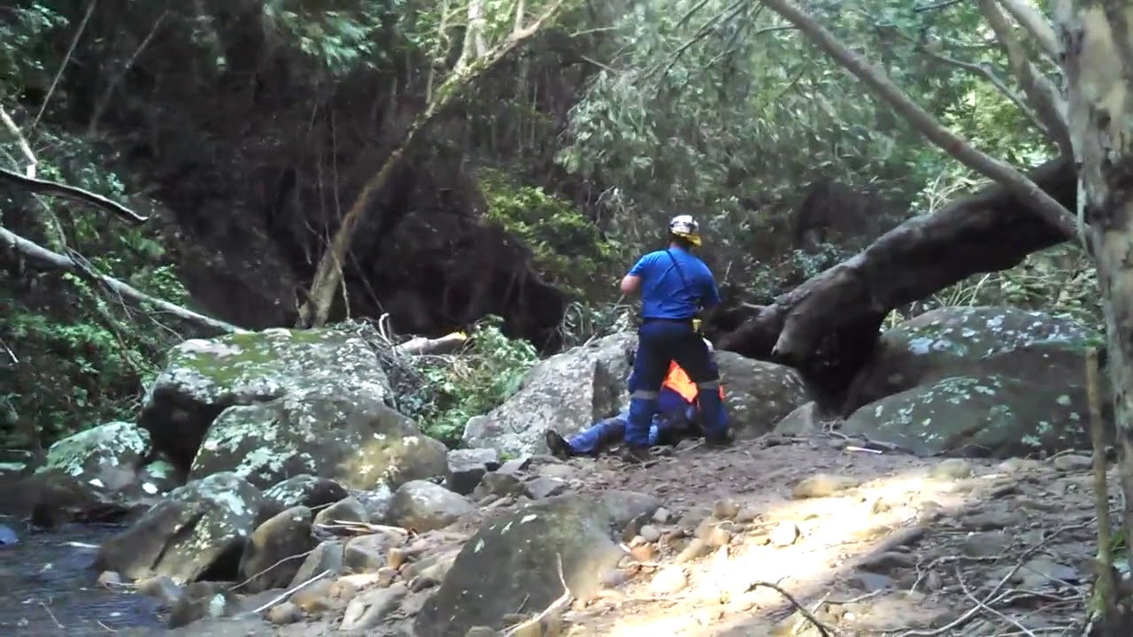 Wodi Wodi Track Winch - YouTube