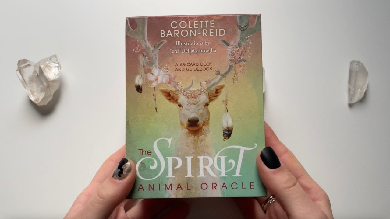 ORACLE CARDS: The Spirit Animal Oracle Deck full flip through - YouTube