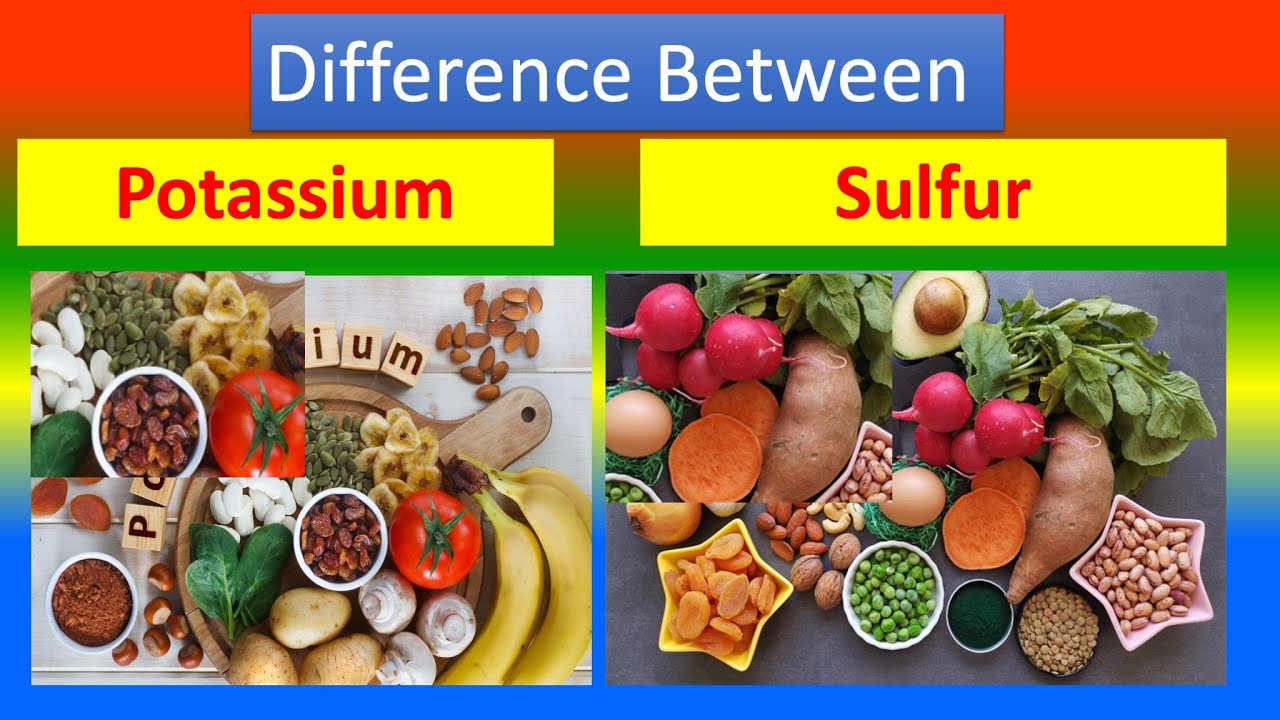 Differences Between Medical And Health Benefits Of Potassium and Sulfur ...