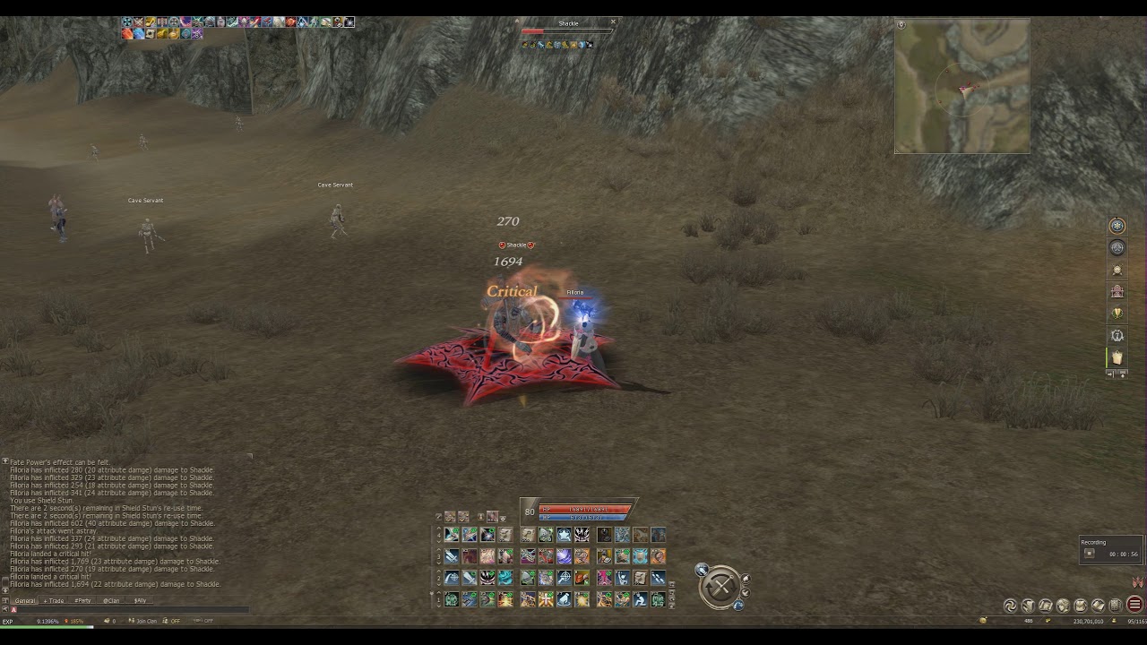 Lineage 2 Classic Level 80 Tank - YouTube