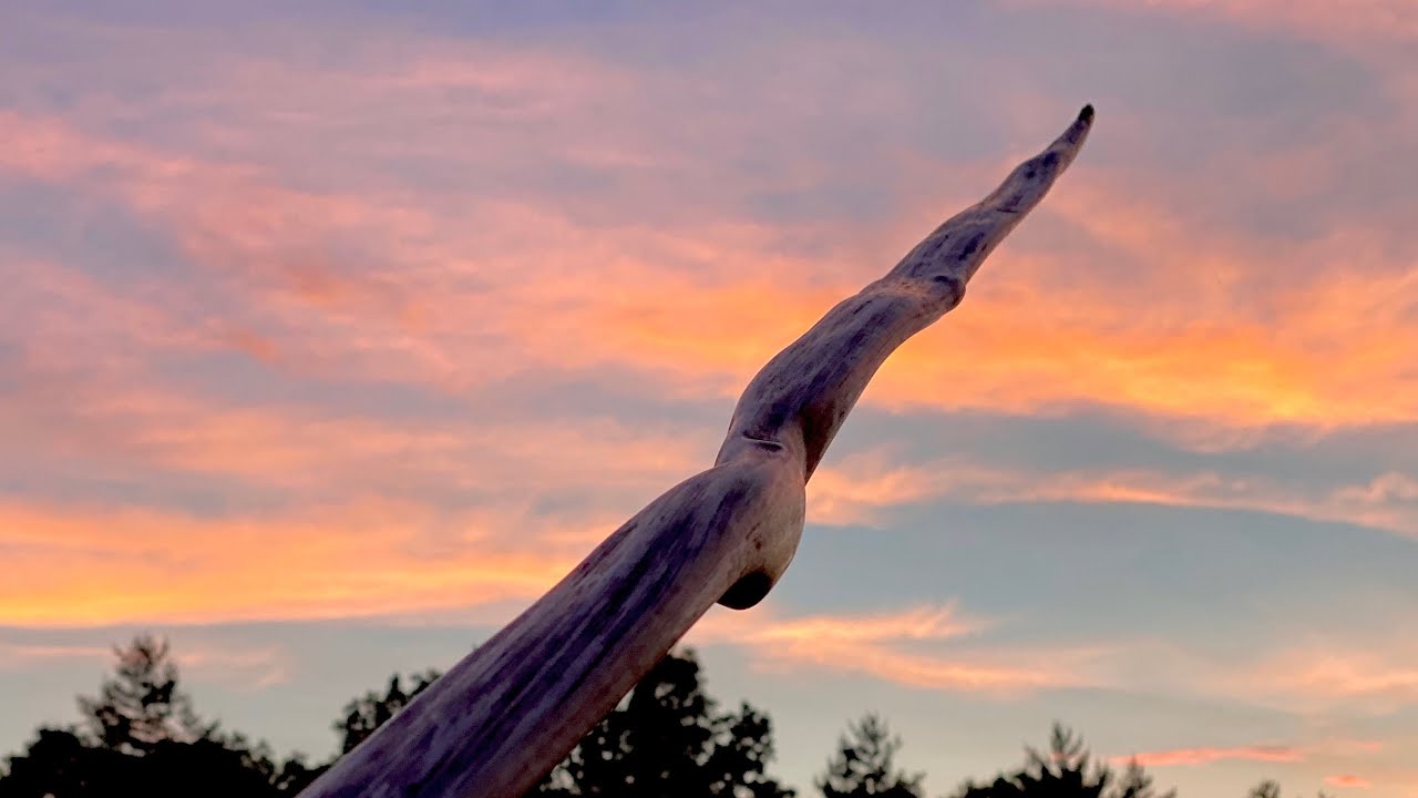 Teaching Wood to Bend: Tillering an Ironwood Bow - YouTube