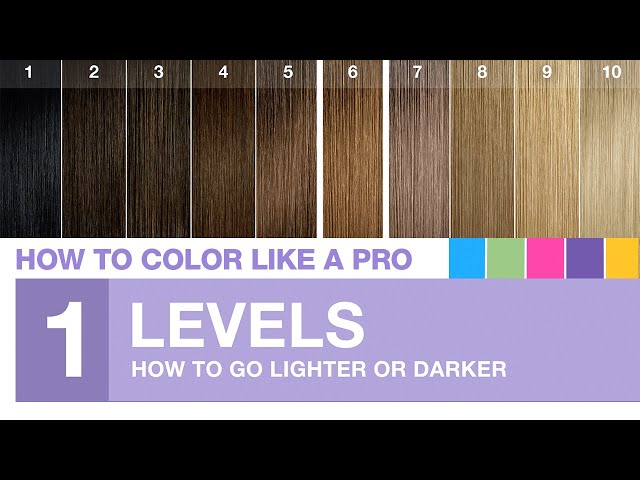 Color Level Chart Hair Levels | Beauty Lifestyle Wiki | Fandom