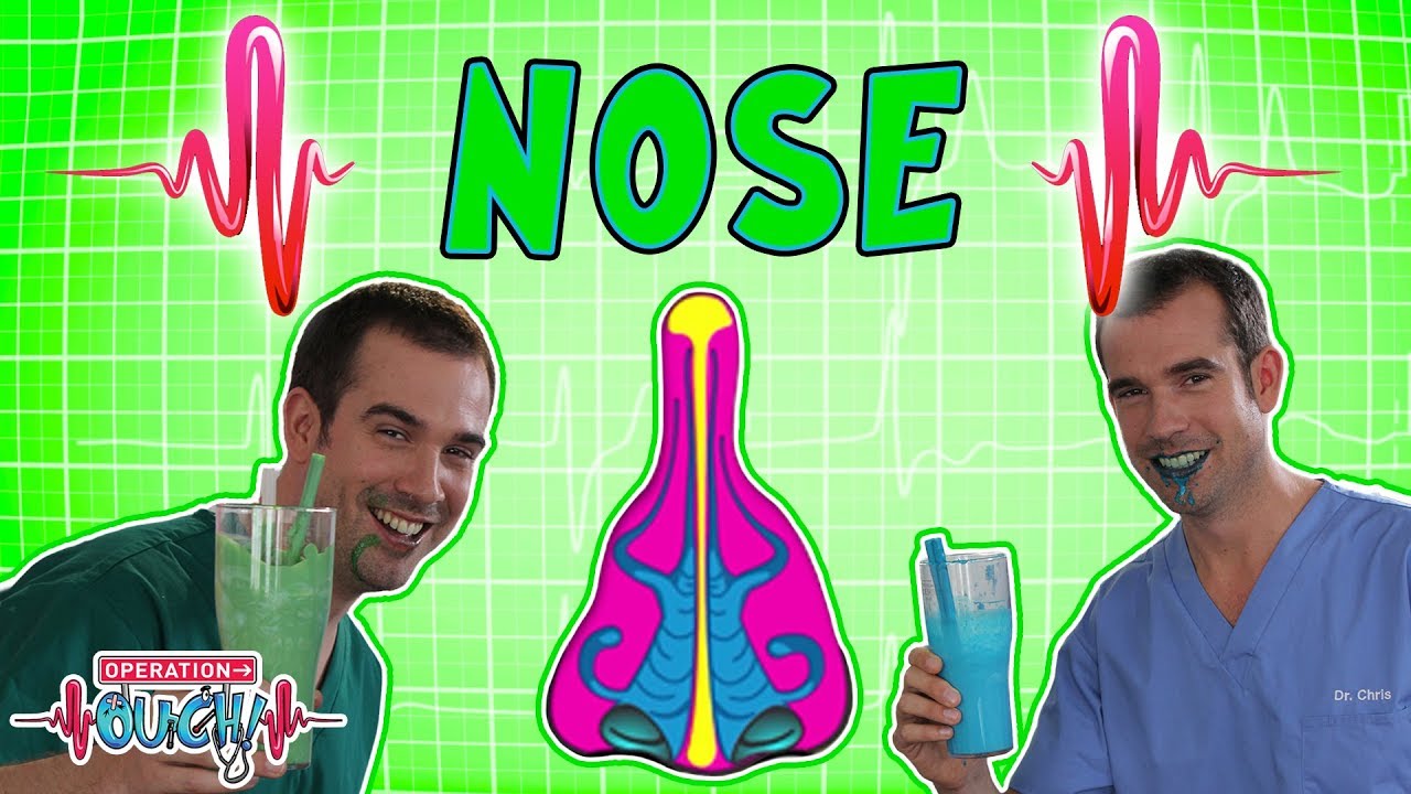 Science for kids | Snotty Noses | The Human Head | Experiments for kids ...